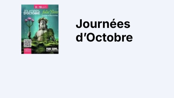 Basic Shapes Presentation