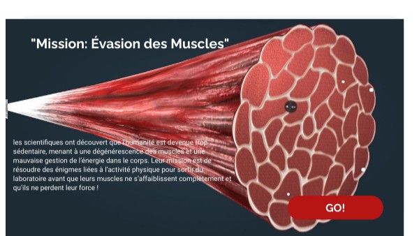 L'activité physique | Genially