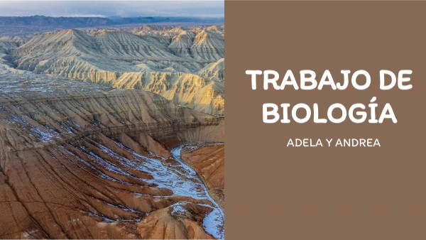 El tiempo geológico y La estructura terrestre. | Genially