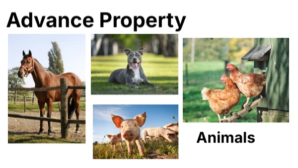 Advance Property Animals