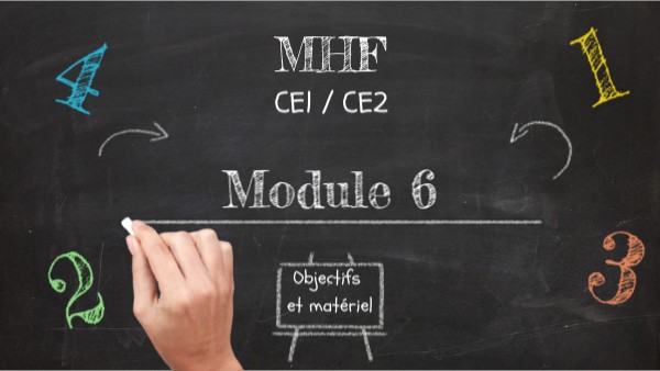MHF module 6