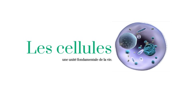 Ch01 la cellule, unité fondamentale de la vie