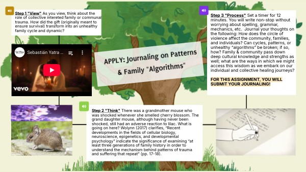 APPLY: Journaling on Patterns & Family "Algorithms"