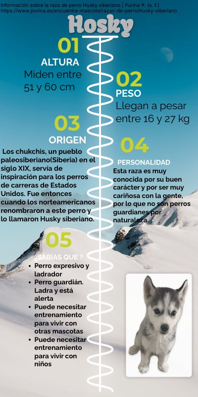 infografia hd