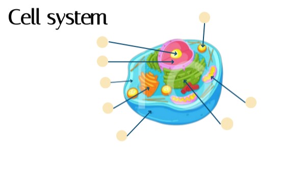 Cell System | Genially