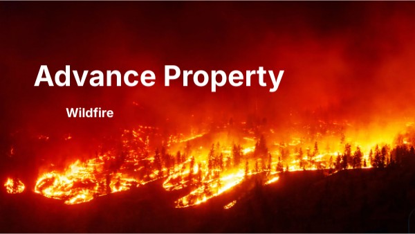Advance Property Wildfire