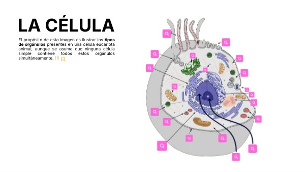 Póster interactivo célula