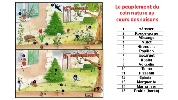 Le peuplement au cours des saisons | Genially