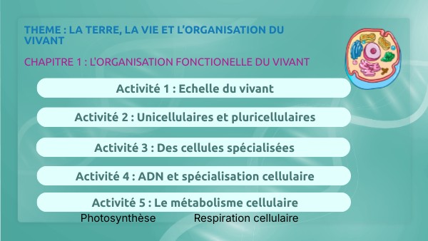 2nd_Activités Chap Vivant