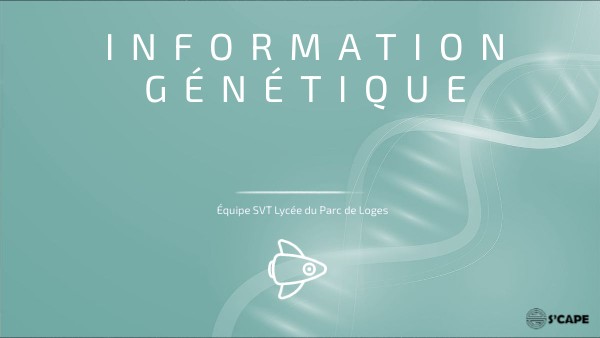 TP 6 L'information génétique