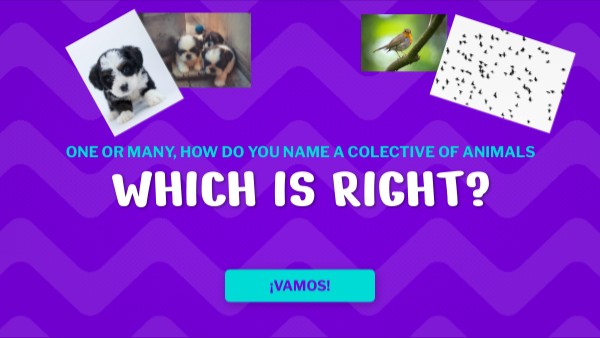 Juego qué prefieres
