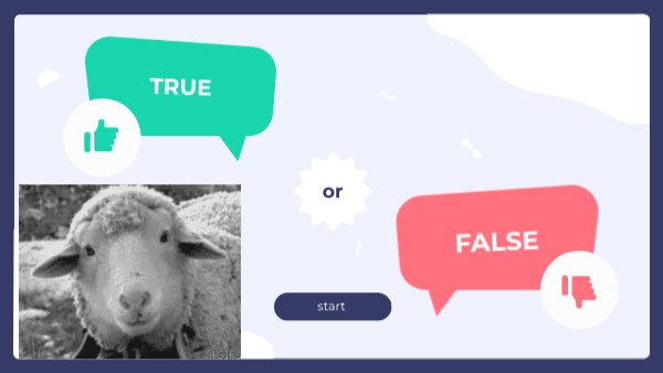 Everything but the Baaaaa (Sheep By-products)