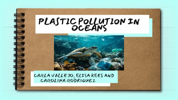 PLASTIC POLLUTION PRESENTATION