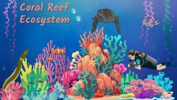 Coral Reef Populations Final Copy | Genially