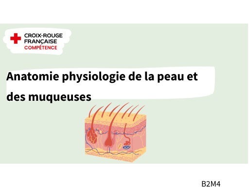 _Anatomie physiologie de la peau et _des muqueuses.pptx | Genially