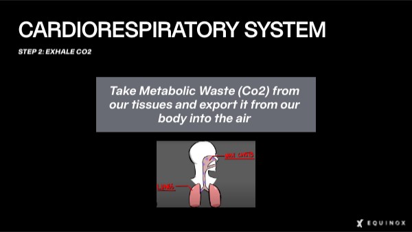 S2 M1 L1 CR system 2 | Genially