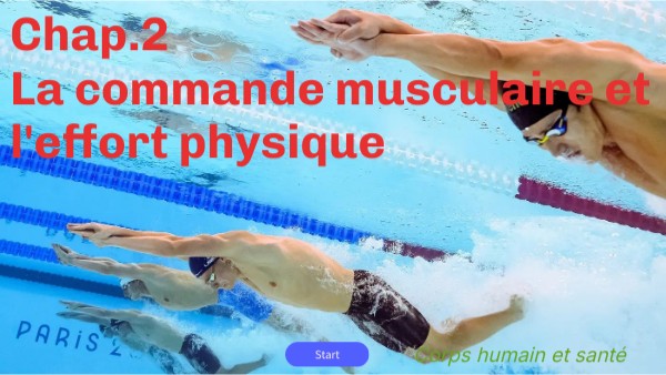 5e3,5 Ch.2 La commande musculaire et l'effort physique