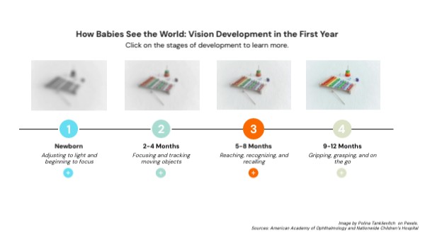 How Babies See the World: Vision Development in the First Year