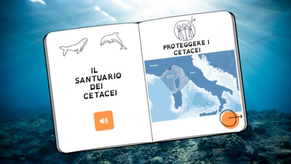 Cetacei