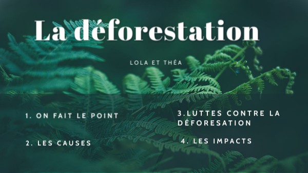 1ère SES déforestation | Genially