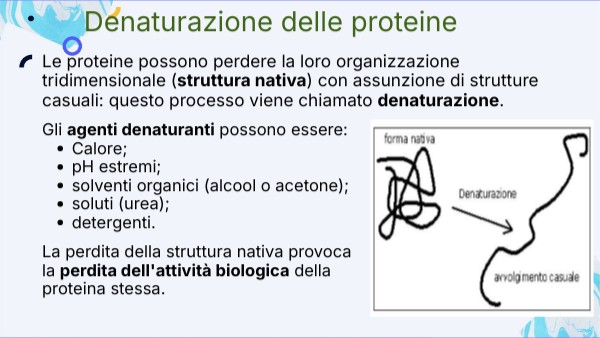 Denaturazione delle proteine | Genially