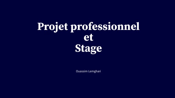 stage et projet professionnel