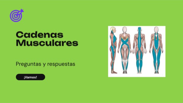 Quiz Cadenas Musculares