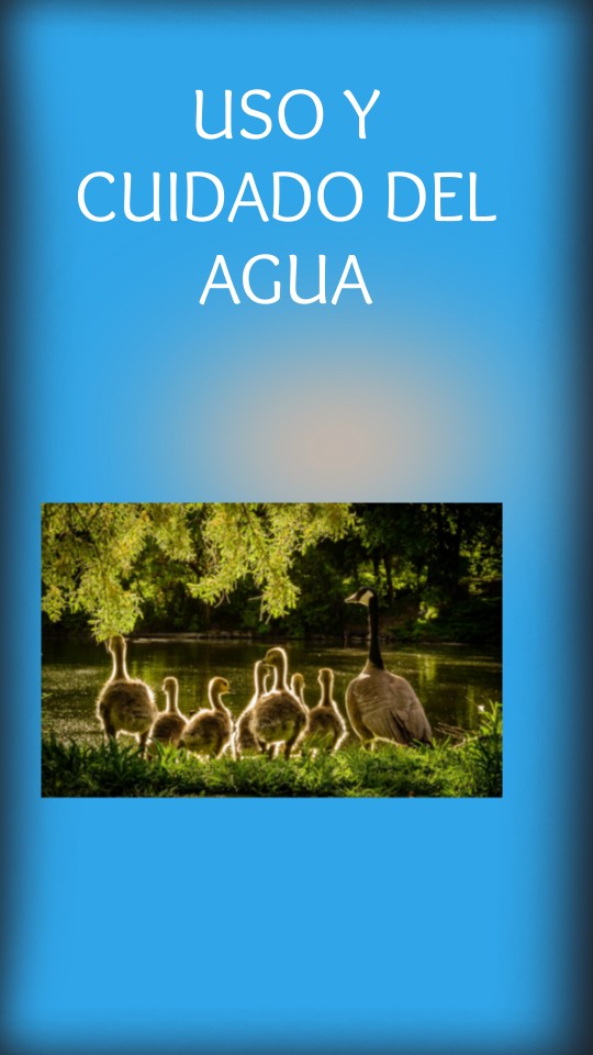 el uso y cuidado del agua | Genially