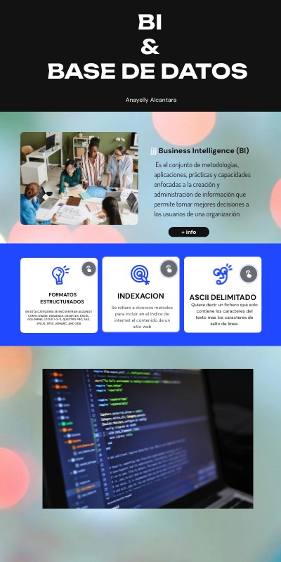 infografia BI & BASE DE DATOS