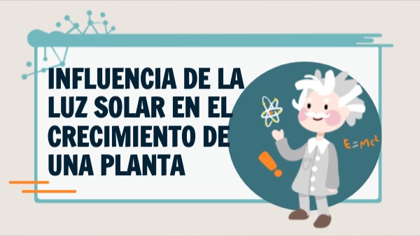 ¿Una planta necesita luz solar para crecer?
