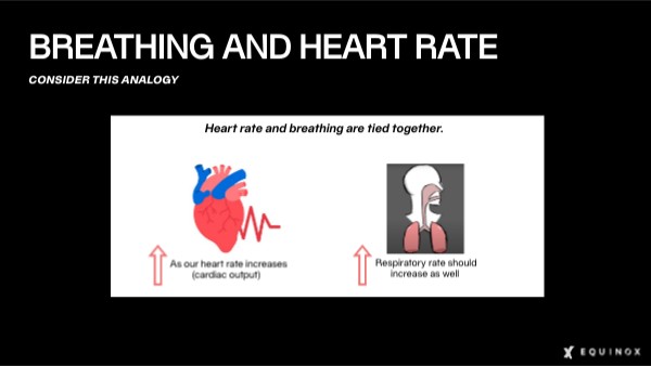 S2 M1 L2 Metabolism 1 | Genially