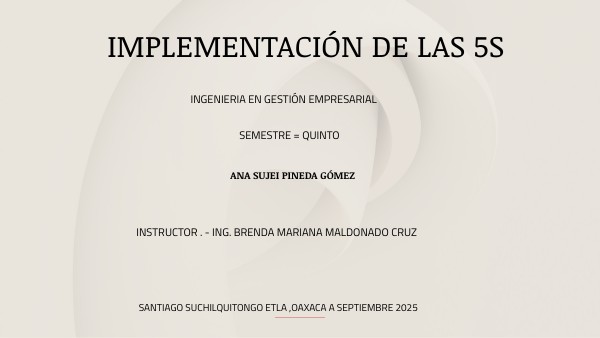 IMPLEMENTACIÓN DE LAS 9S