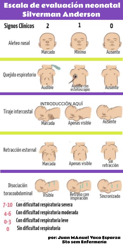 INFOGRAFÍA Silverman Anderson | Genially