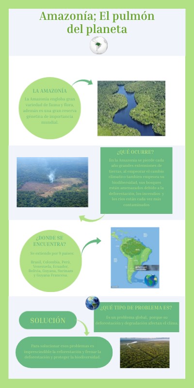 CARTEL AMAZONÍA | Genially