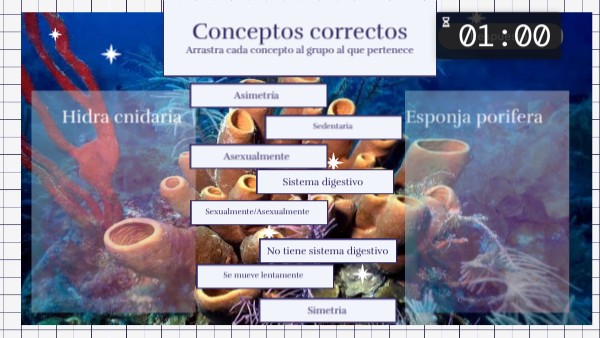Conceptos Correctos | Genially