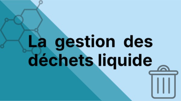 Branching diagram | Genially