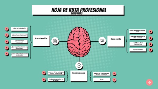 Hoja de ruta profesional | Genially