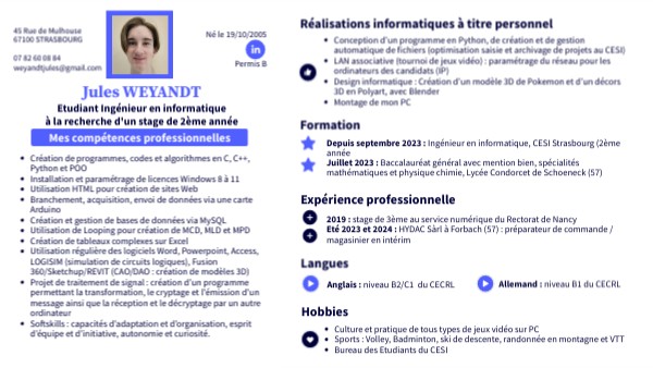 Copy - CV Jules WEYANDT 2024 | Genially
