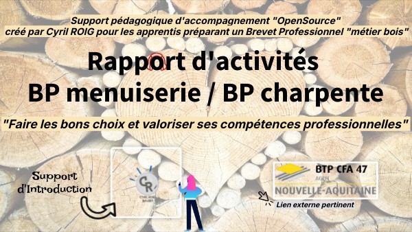 Rapport d'activités BP (bois) - Lien 2 | Genially