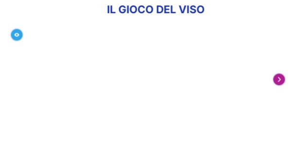IL GIOCO DEL VISO