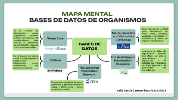 Mapa Mental Bases de datos de Organismos | Genially