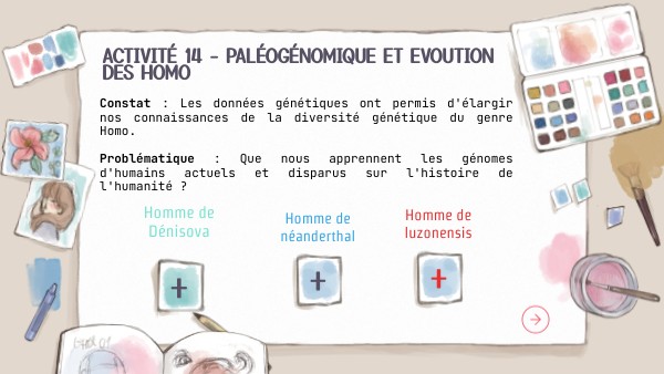 A10 - Histoire évolutive de la lignée humaine