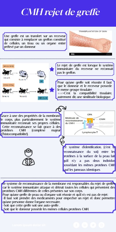 Infographie rejet de greffe Lila Martial et Teyna N'da Amadou