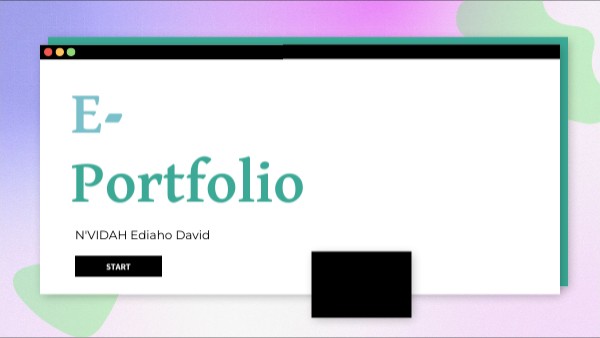 Portfolio David
