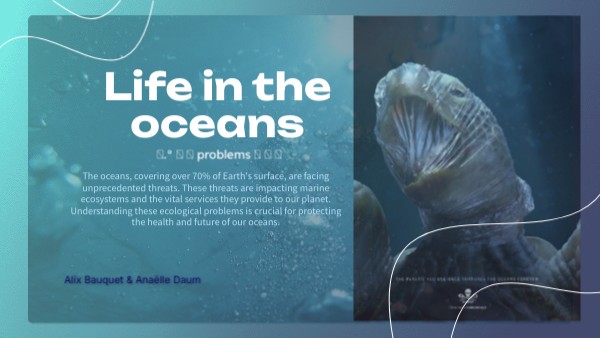 Présentation Océan