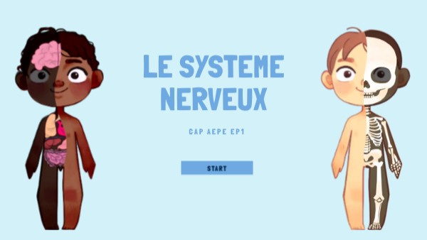 Le système nerveux | Genially
