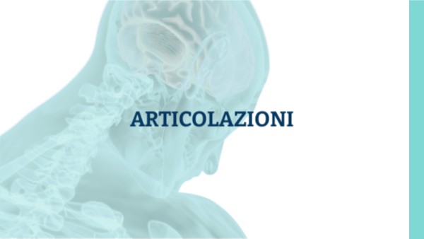 ARTICOLAZIONI