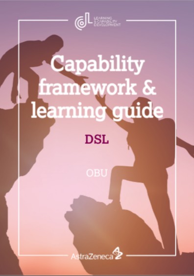 Capability framework - DSL