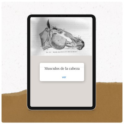 IPAD VERTICAL | Genially