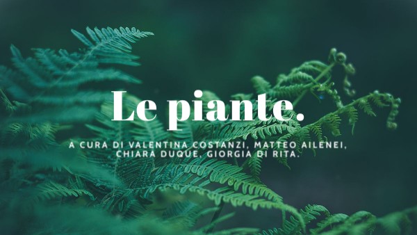 LE PIANTE | Genially